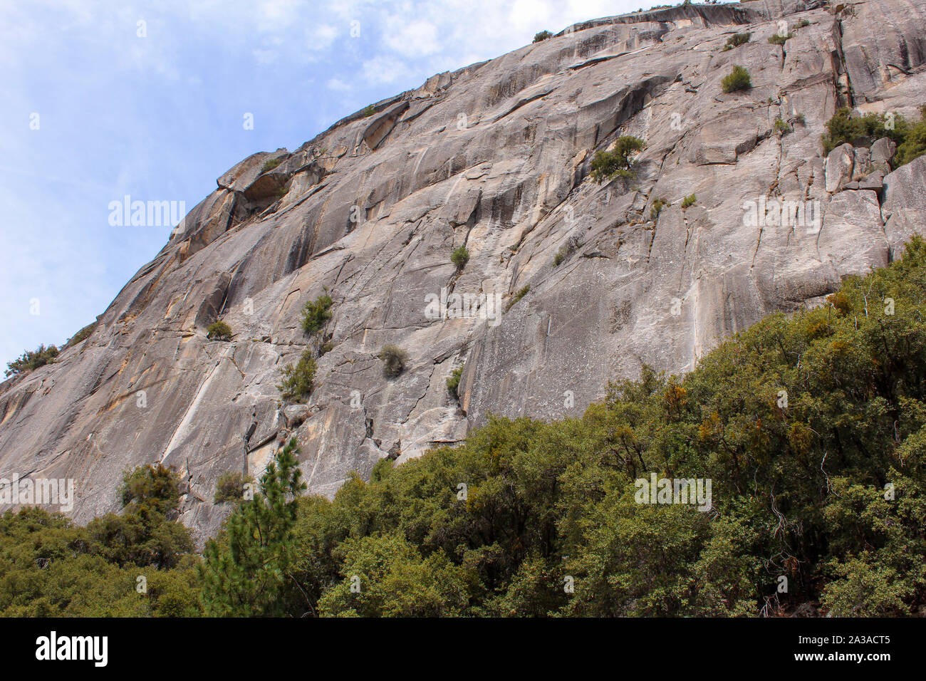 John rock branch hi-res stock photography and images - Alamy