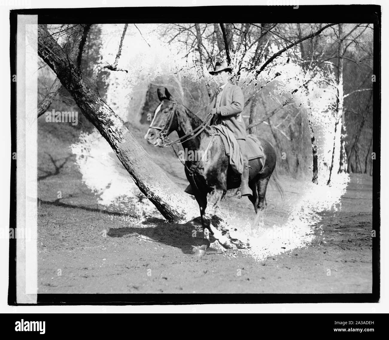 Borah hi-res stock photography and images - Alamy