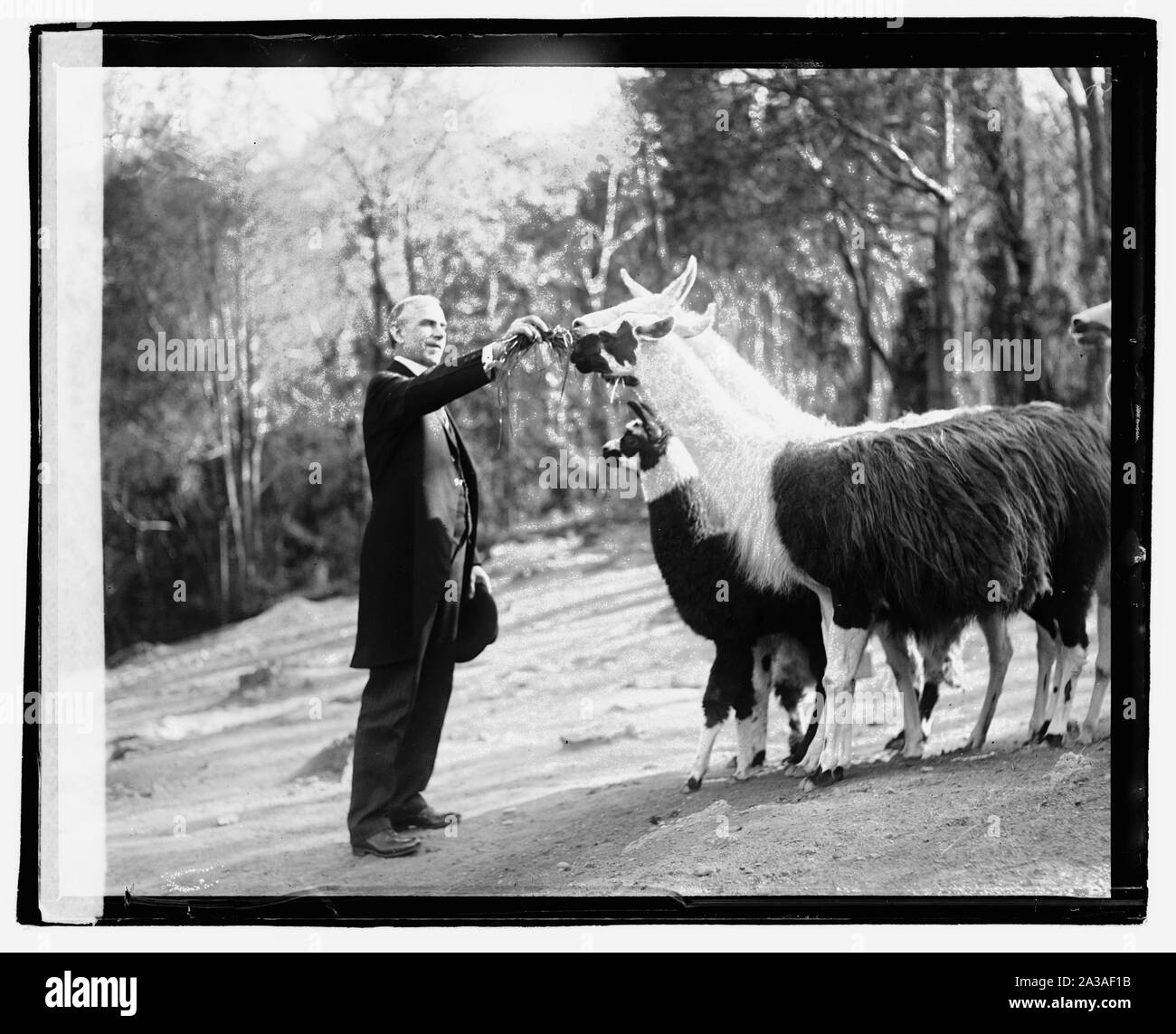 Sen. Reed Smoot Stock Photo - Alamy