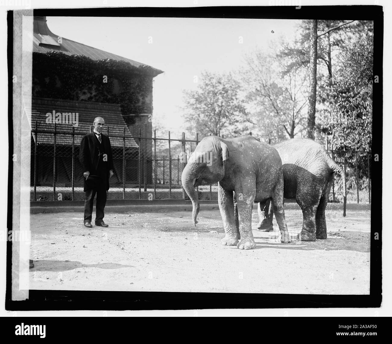 Smoot hi-res stock photography and images - Alamy