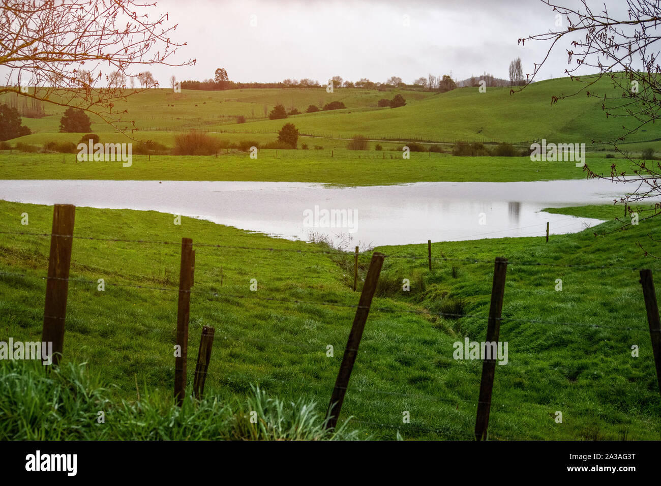 Rain pastures hi-res stock photography and images - Alamy