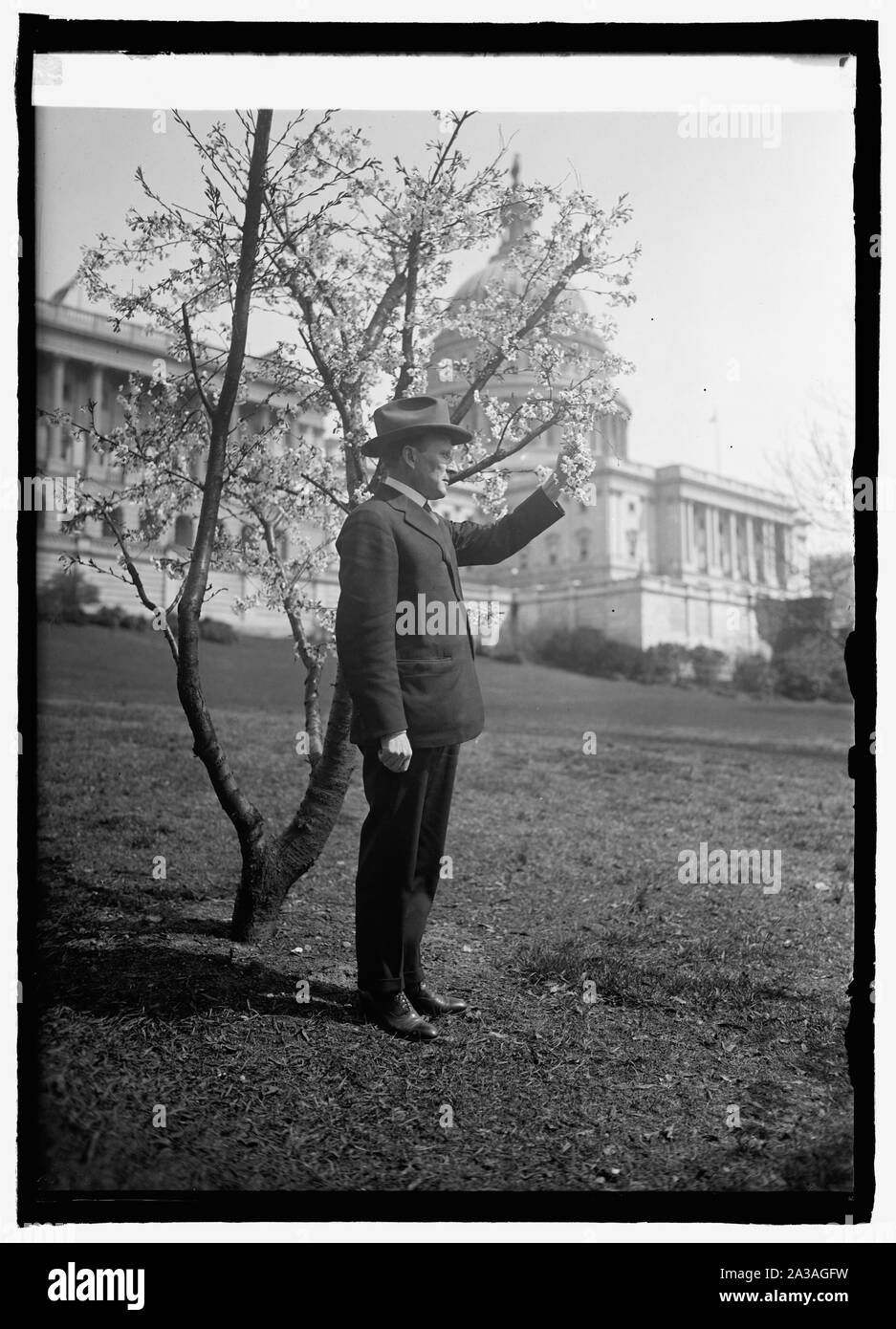 Alvah hi-res stock photography and images - Alamy