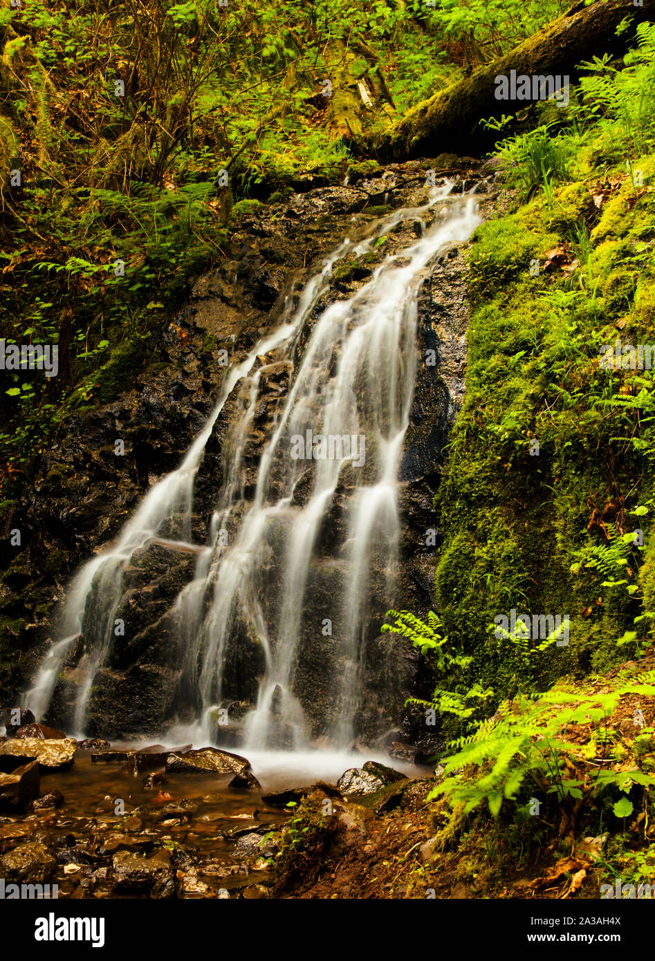Small Waterfall, Columbia River Gorge, Oregon, USA Stock Photo - Alamy