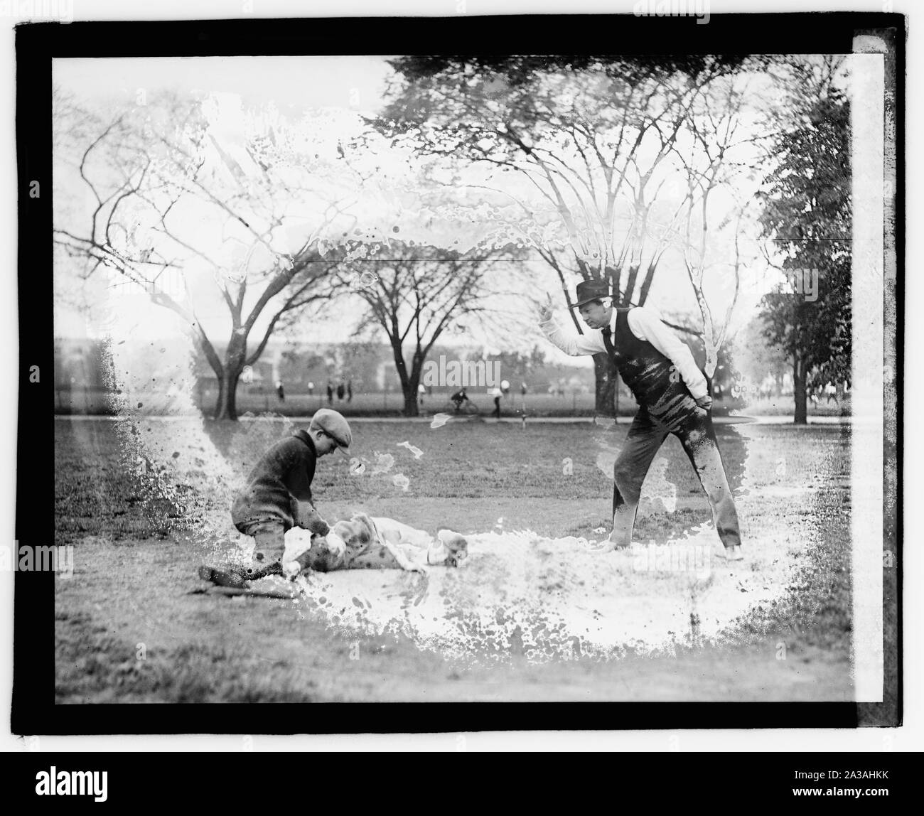 Senator Pat Harrison, baseball Stock Photo - Alamy