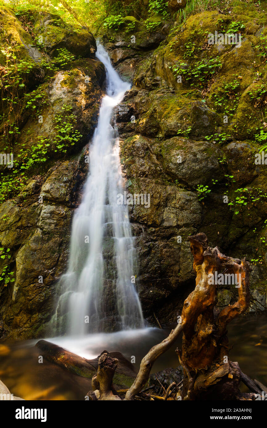 Uvas canyon county park hi-res stock photography and images - Alamy