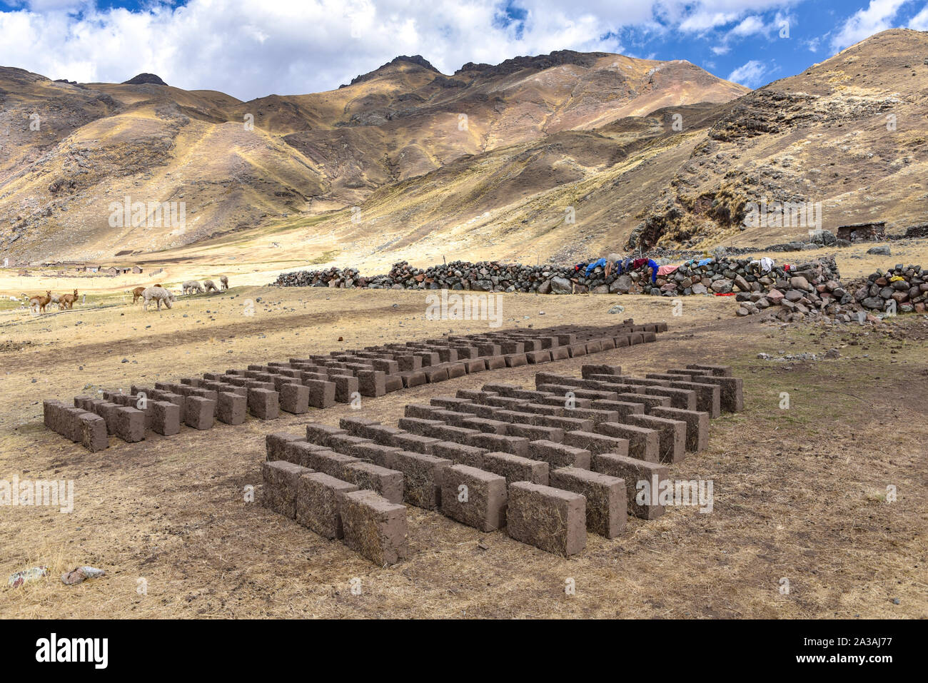 Adobe mud bricks drying in the sun. Chillca, Cusco, Peru Stock Photo ...