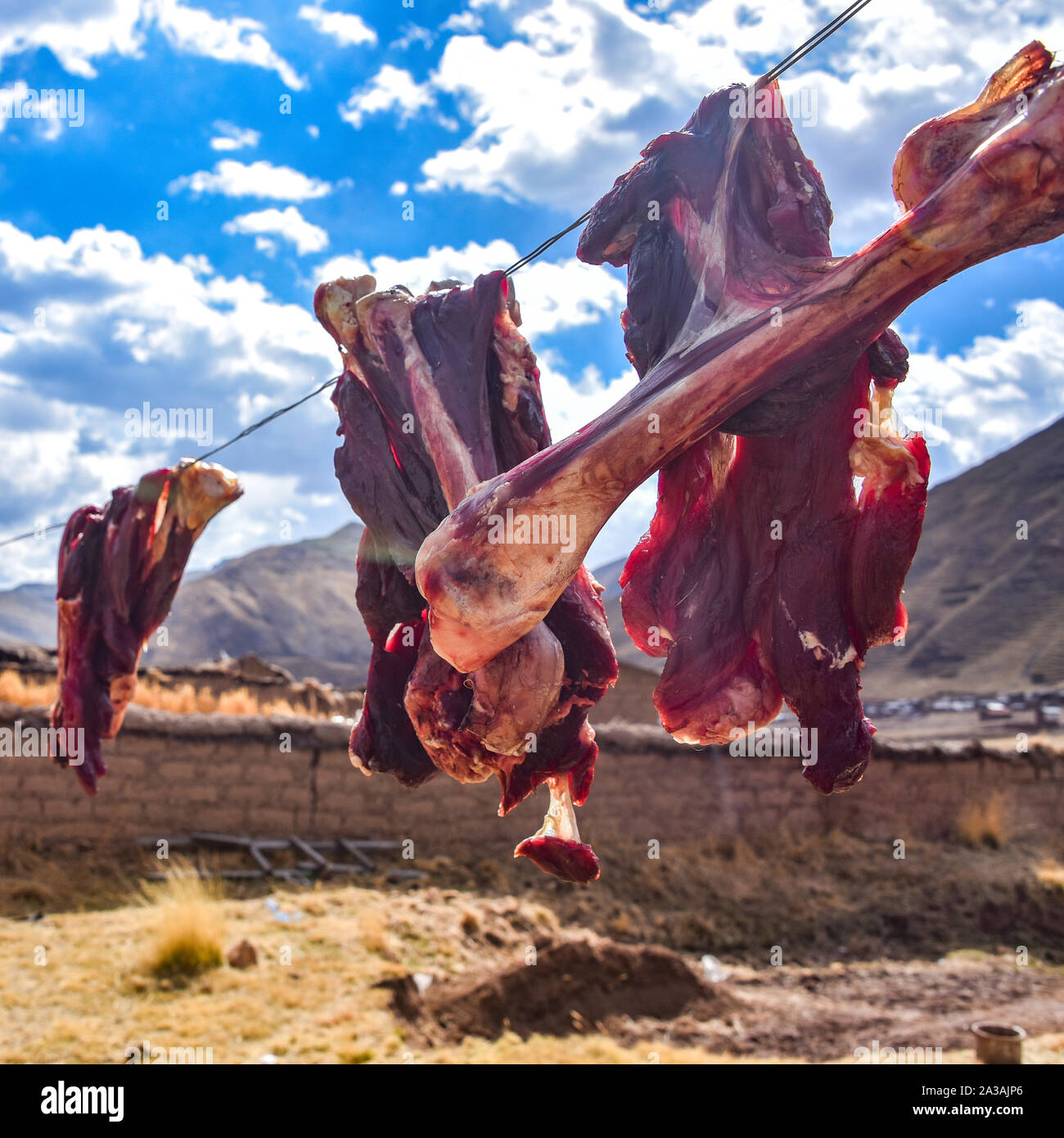 Alpaca meat and bones hang to dry on a washing line in rural Cusco ...