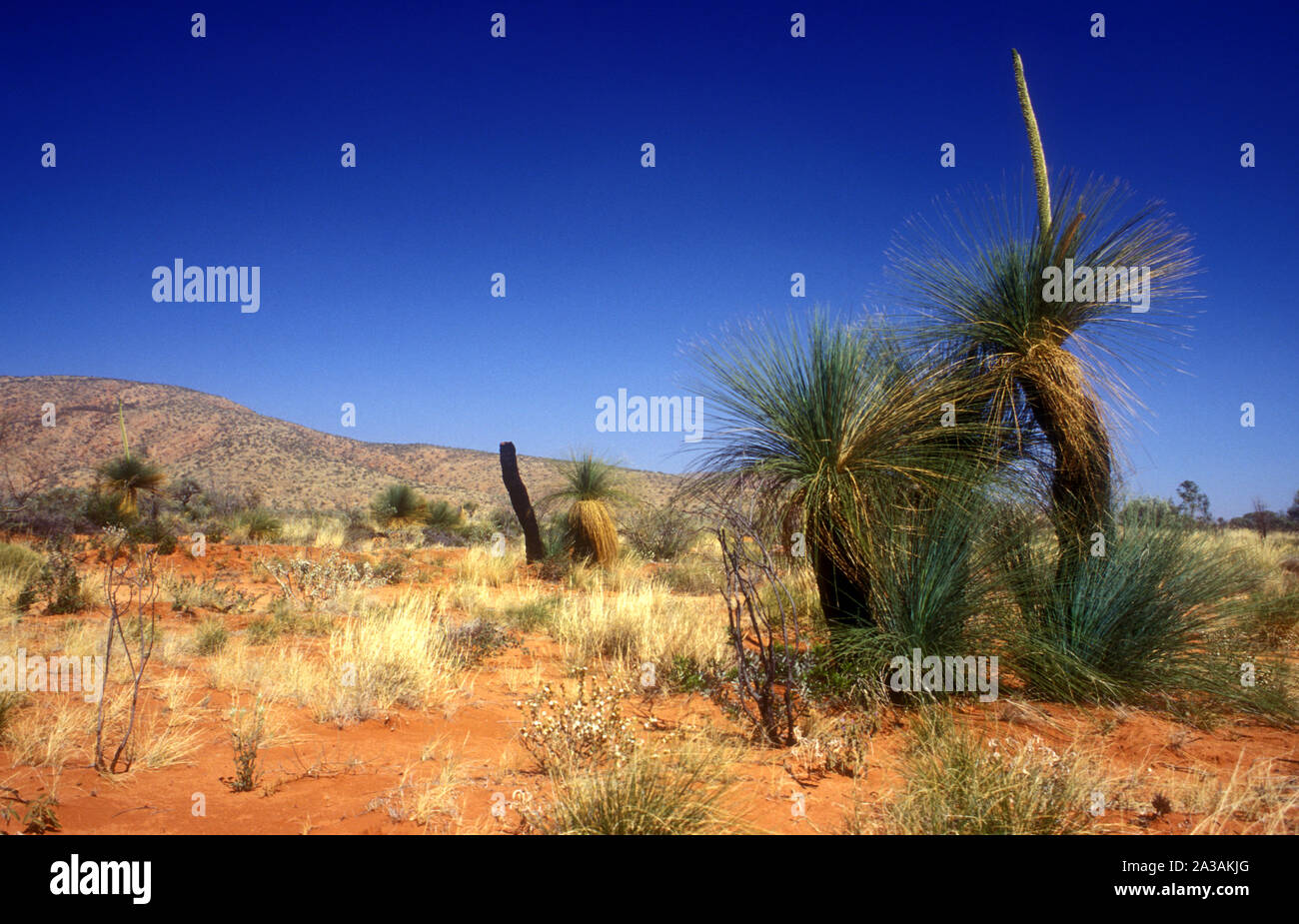 Great Victorian Desert Map