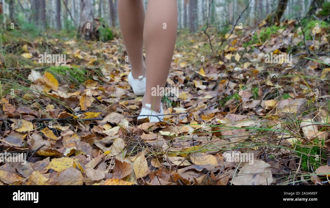 female legs in white sneakers walk through the autumn forest Stock ...