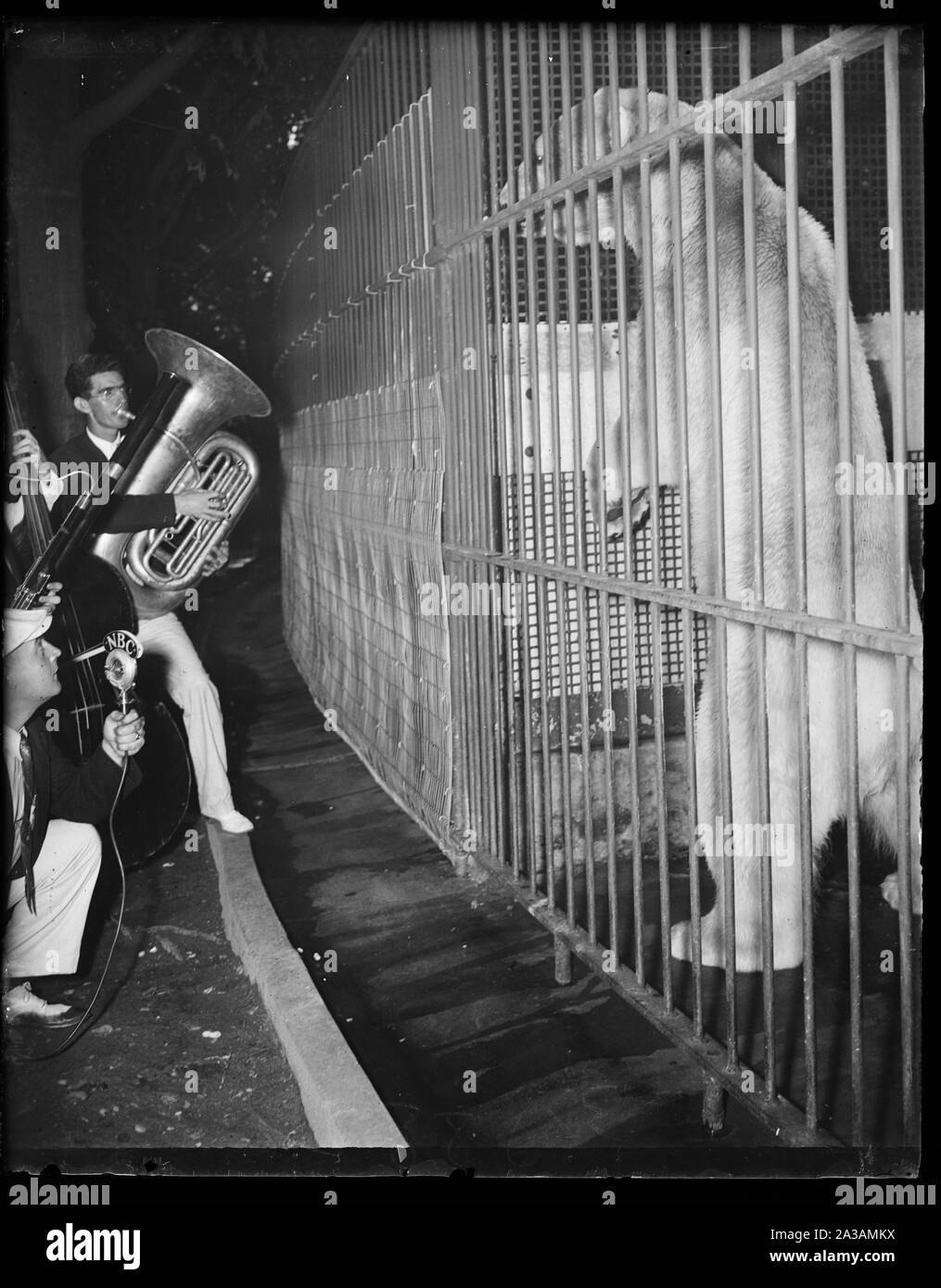Zoo animals crowd Black and White Stock Photos & Images - Alamy