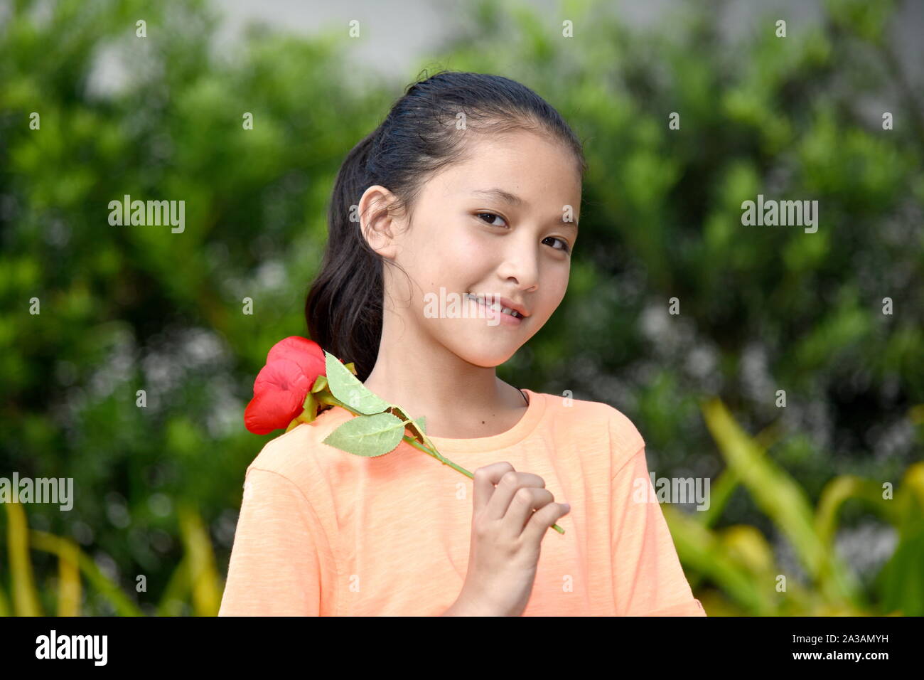 Juvenile at a hi-res stock photography and images - Alamy