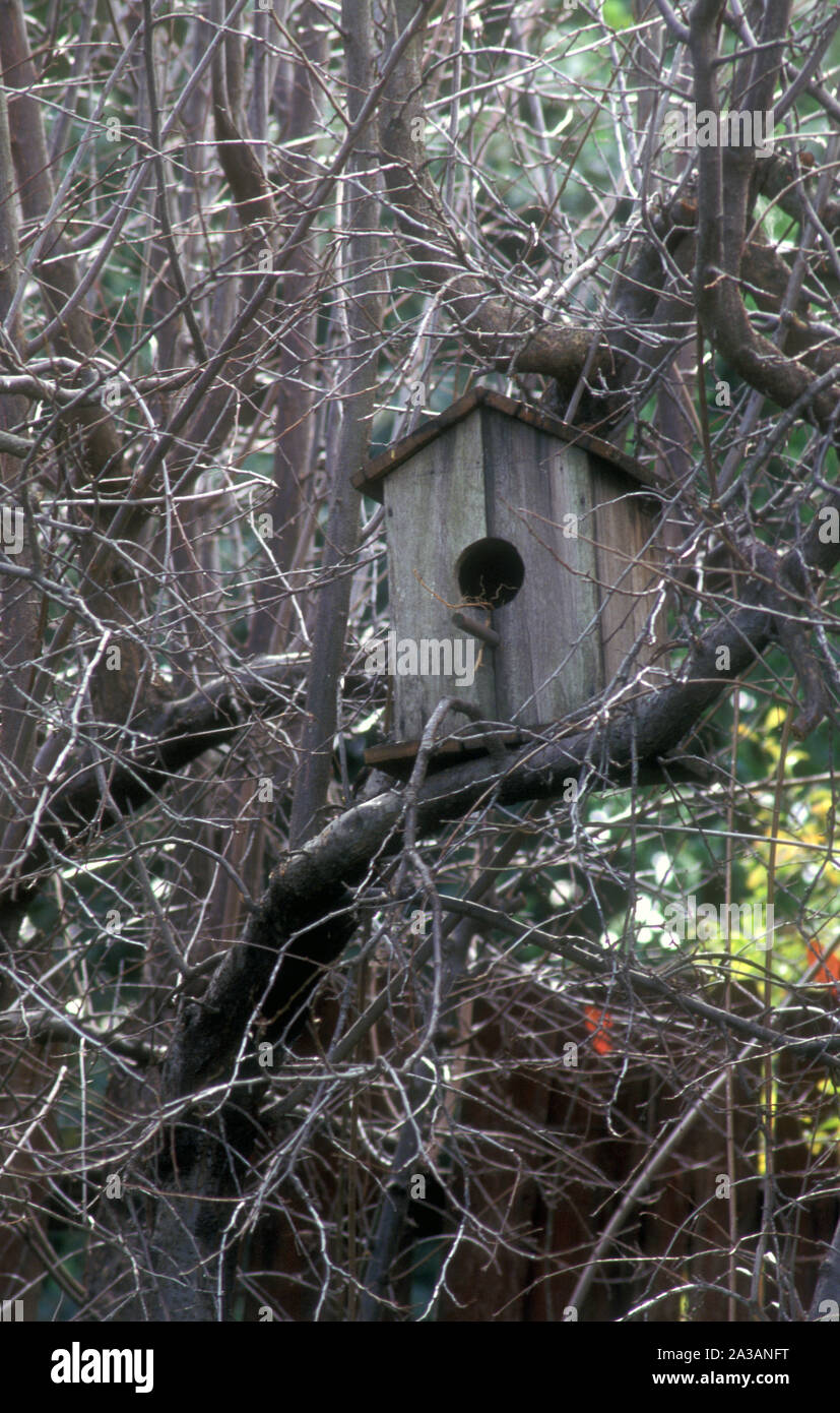 Old nest box hi-res stock photography and images - Alamy