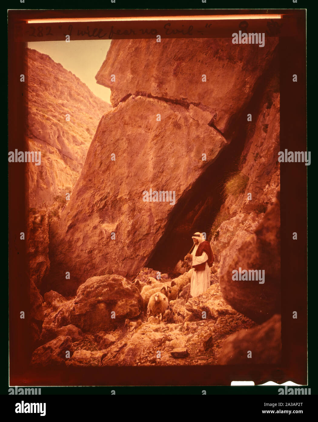 The evil shepherd hi-res stock photography and images - Alamy