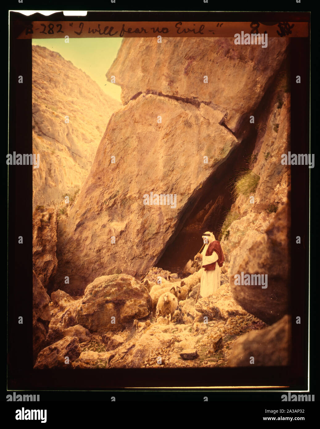 The evil shepherd hi-res stock photography and images - Alamy