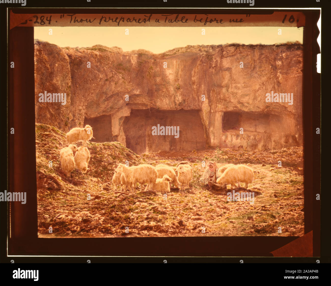Set of thirteen select slides of shepherd life illustrating the Twenty ...