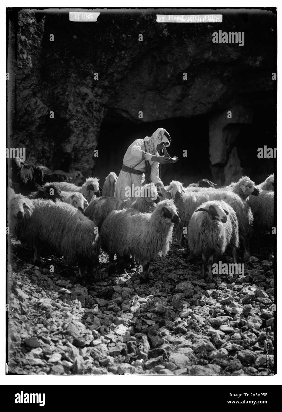 Oil life Cut Out Stock Images & Pictures - Alamy