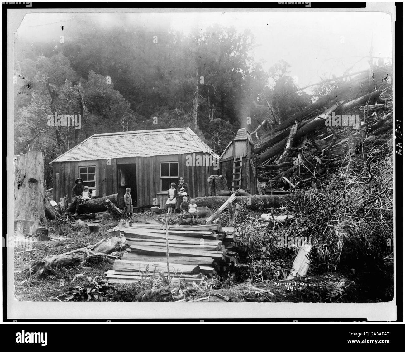 The new zealand Cut Out Stock Images & Pictures - Alamy