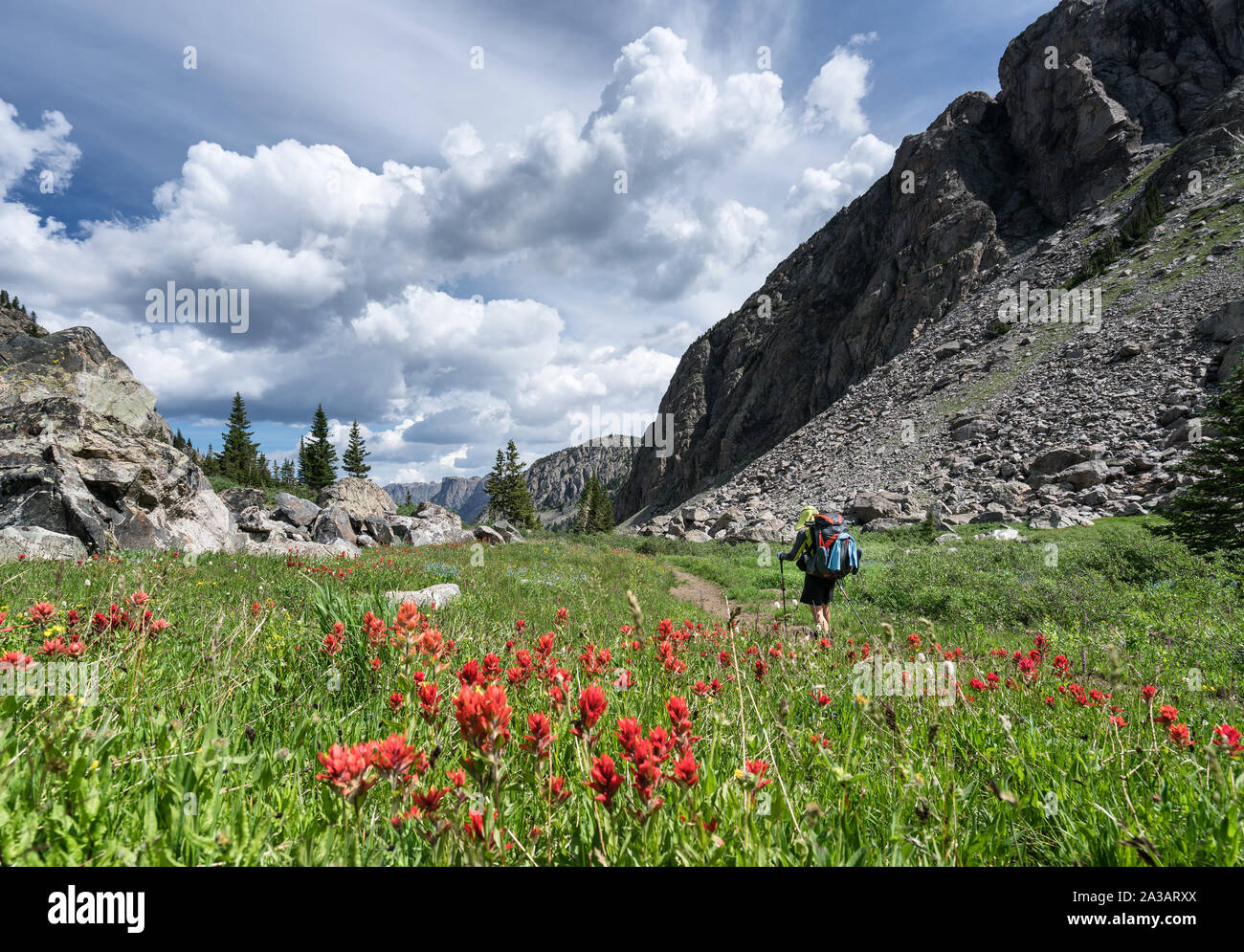 Hiking in Wind River mountain range, Wyoming, USA Stock Photo - Alamy