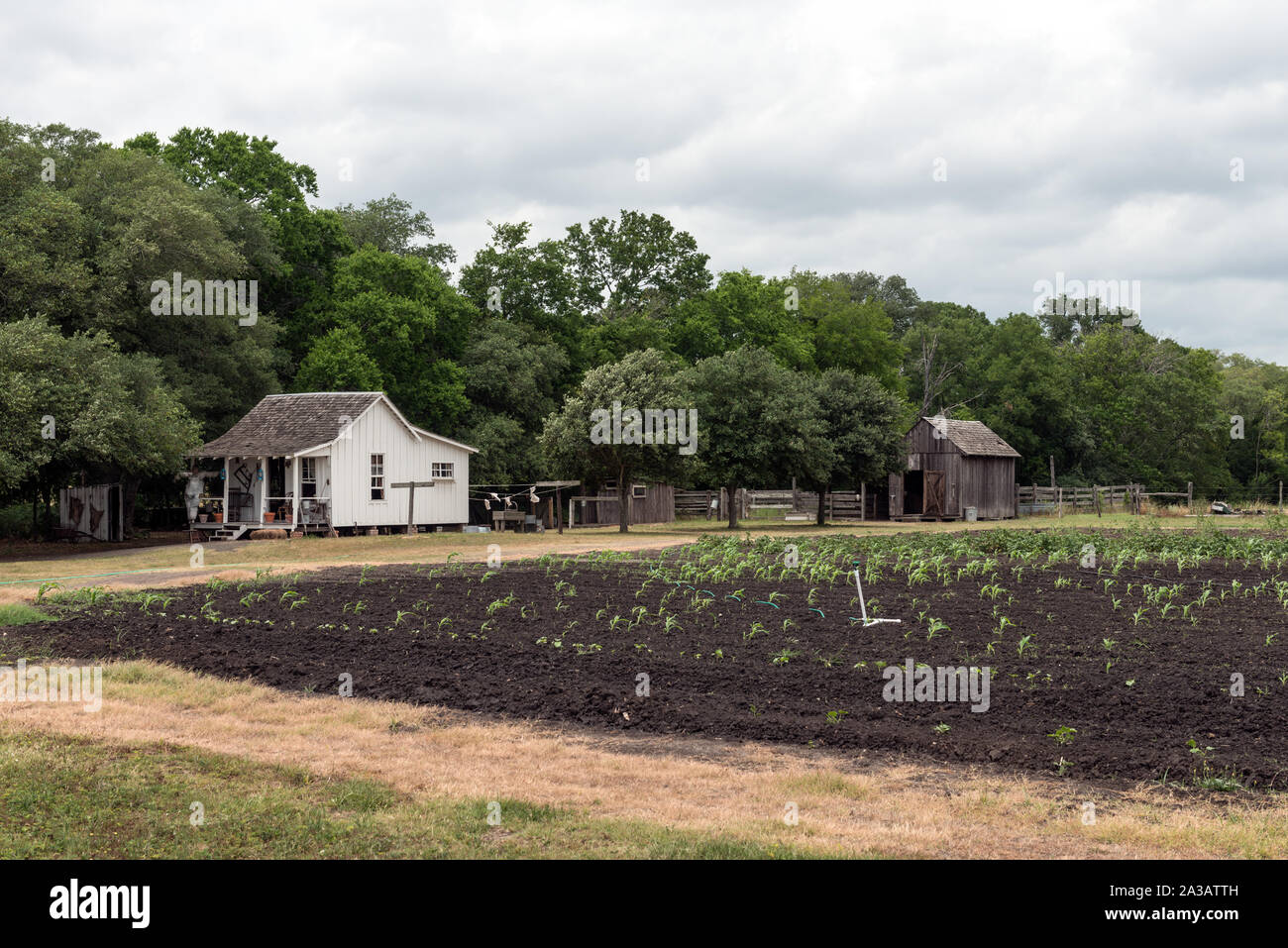 Sharecropper's cabin on the George Ranch Historical Park, a 20,000 ...