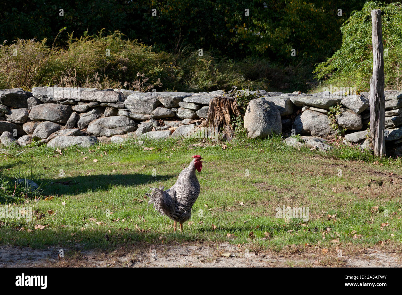 Sharpe hill vineyard hi-res stock photography and images - Alamy