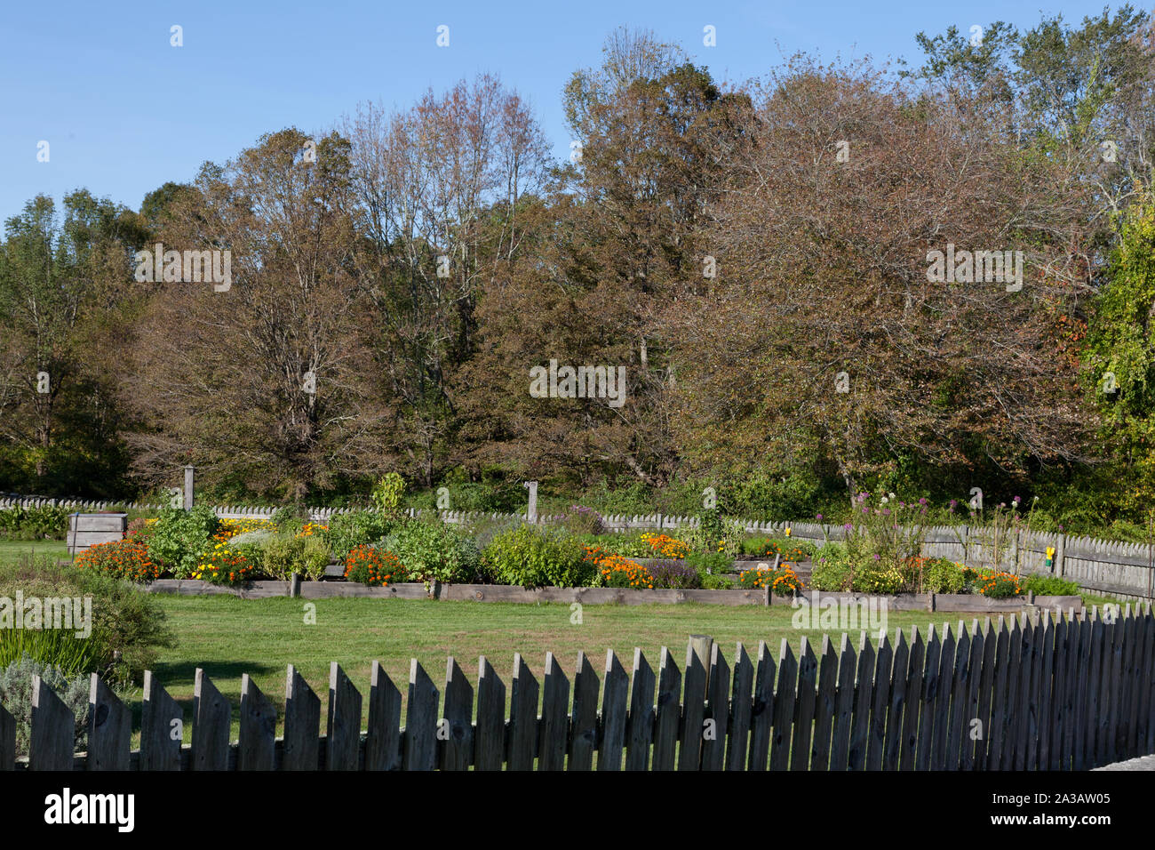 Sharpe hill vineyard hi-res stock photography and images - Alamy