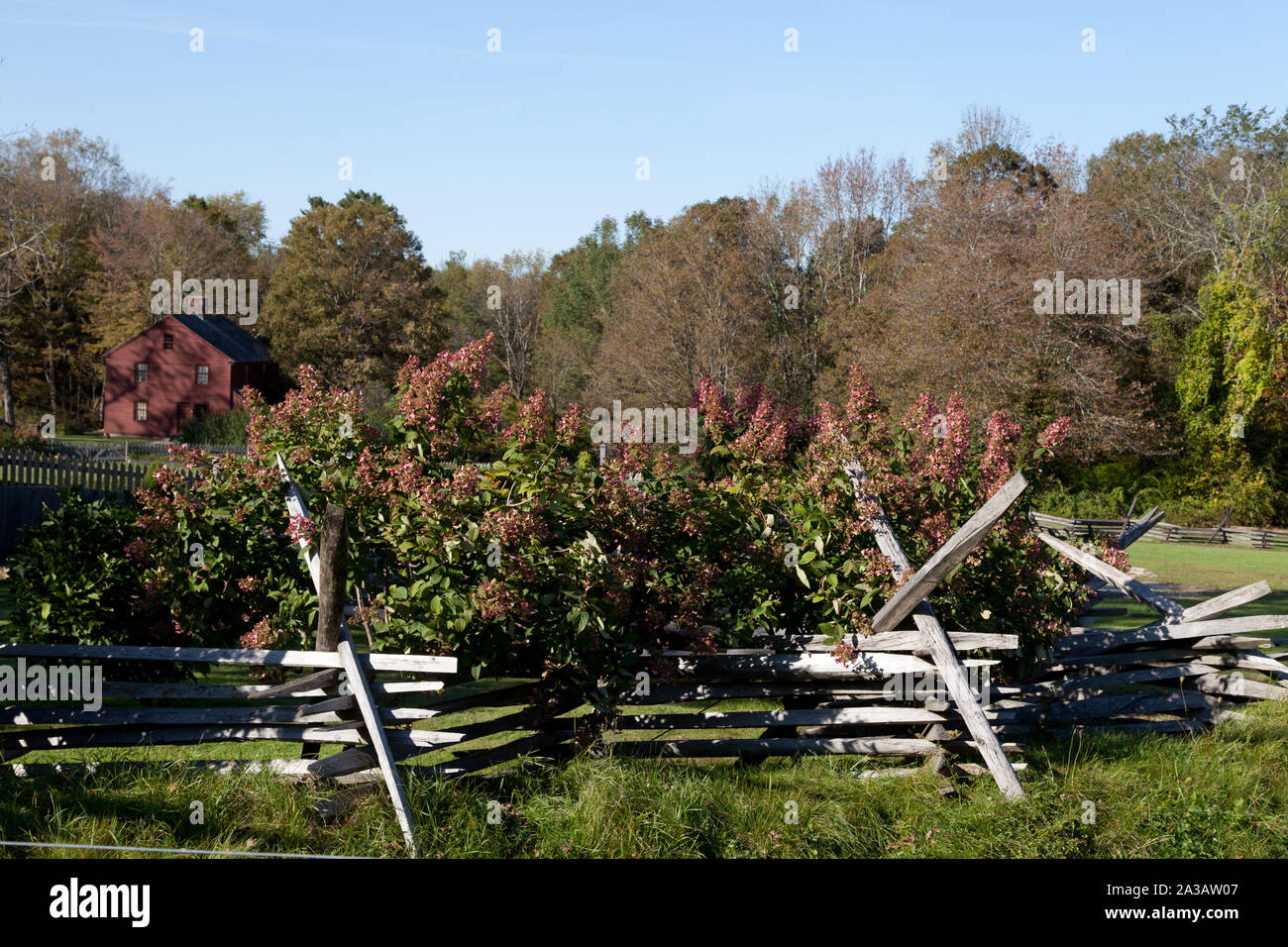 Sharpe hill vineyard hi-res stock photography and images - Alamy