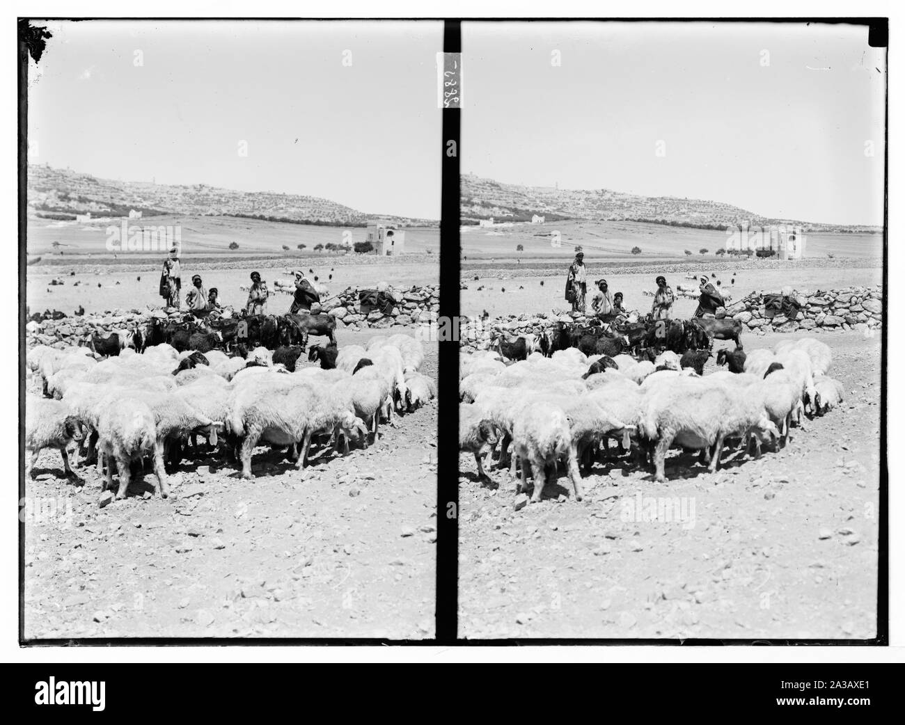 Our shepherds Cut Out Stock Images & Pictures - Alamy