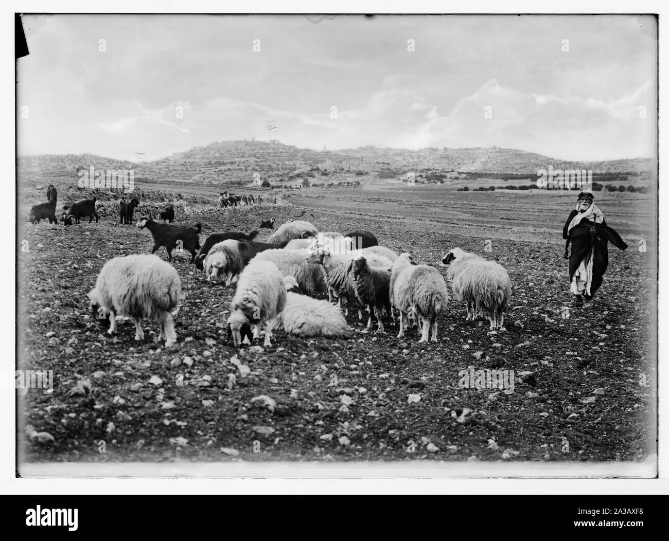 Shepherd's fields bethlehem hi-res stock photography and images - Alamy