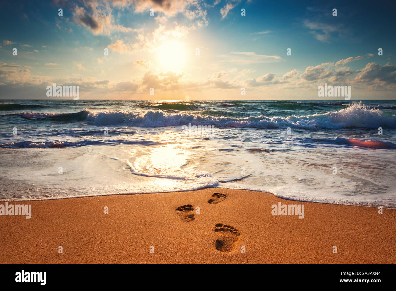 Footsteps Photography Lights