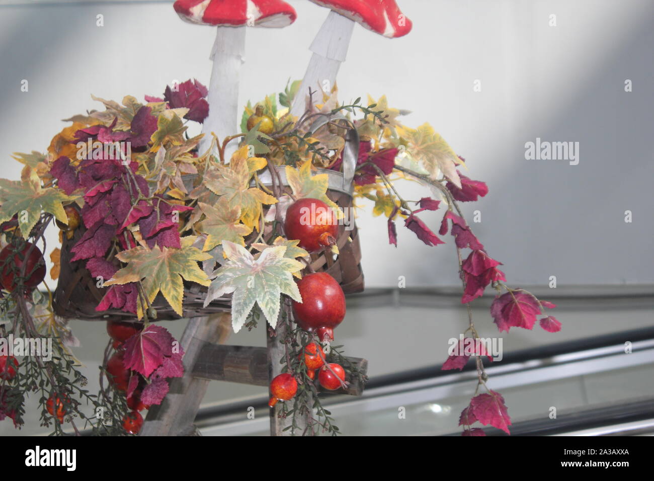 Low hanging fruits hi-res stock photography and images - Alamy