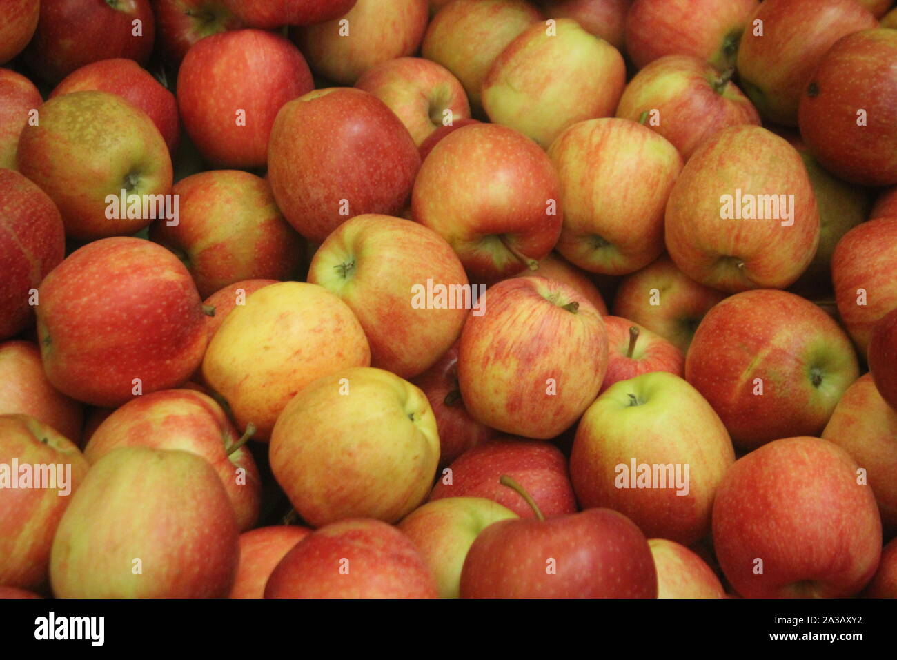 apples are good for people Stock Photo - Alamy
