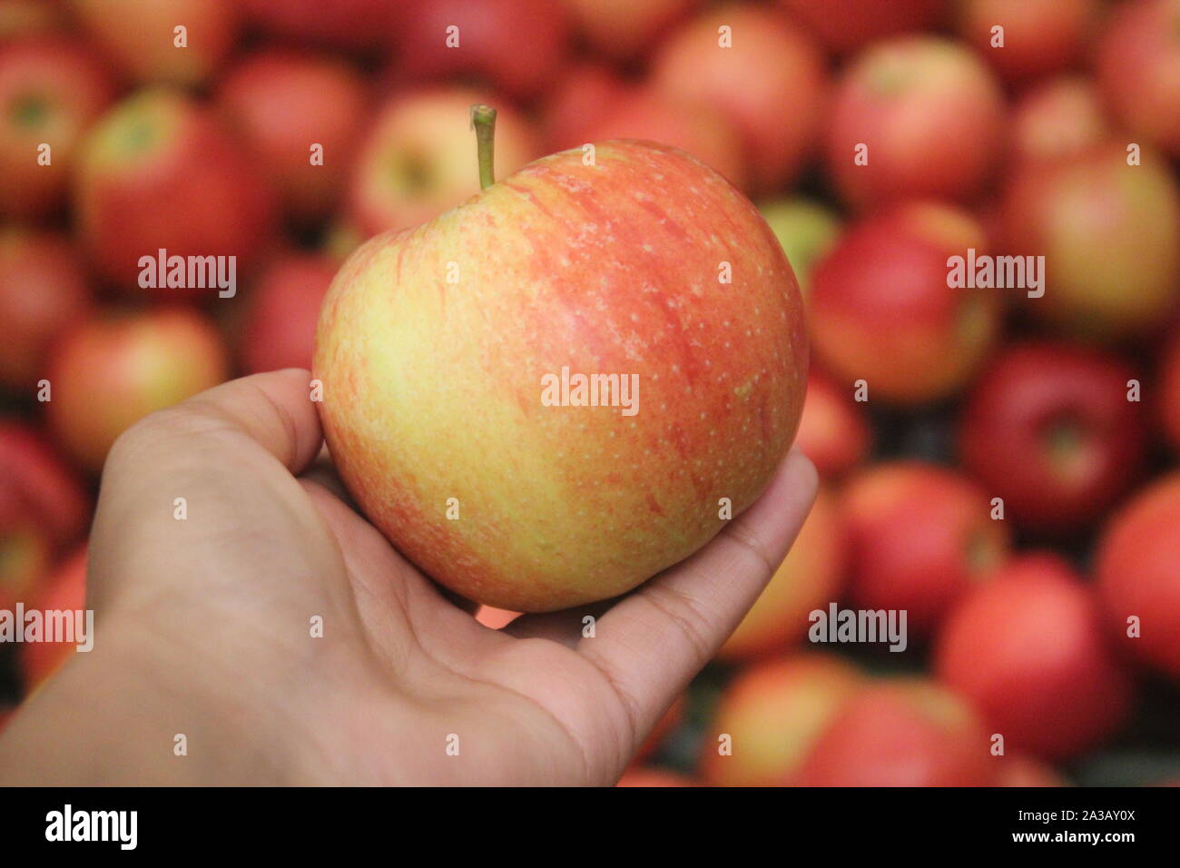 Red Apple fresh fruit image Stock Photo - Alamy