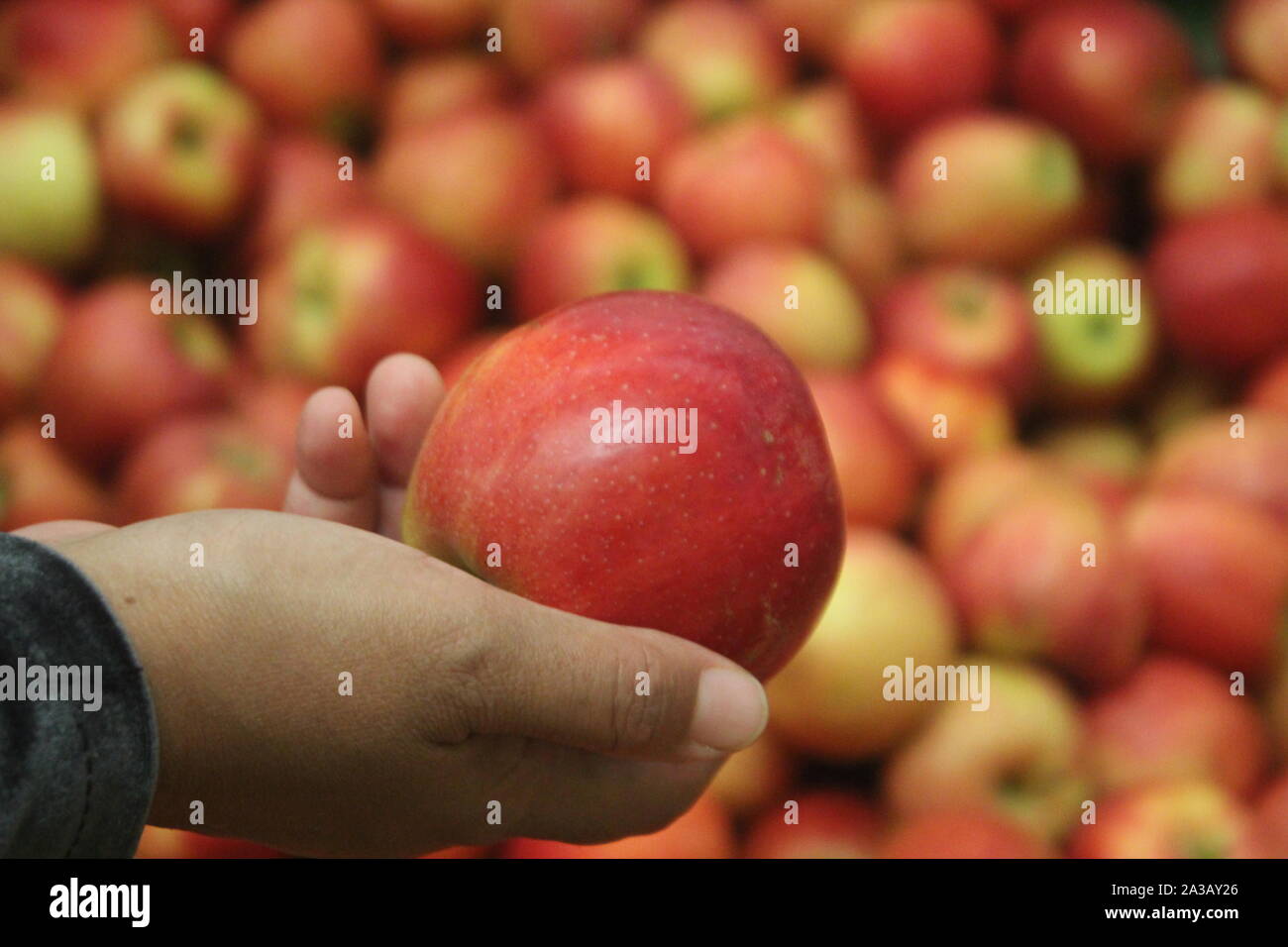Red Apple fresh fruit image Stock Photo - Alamy