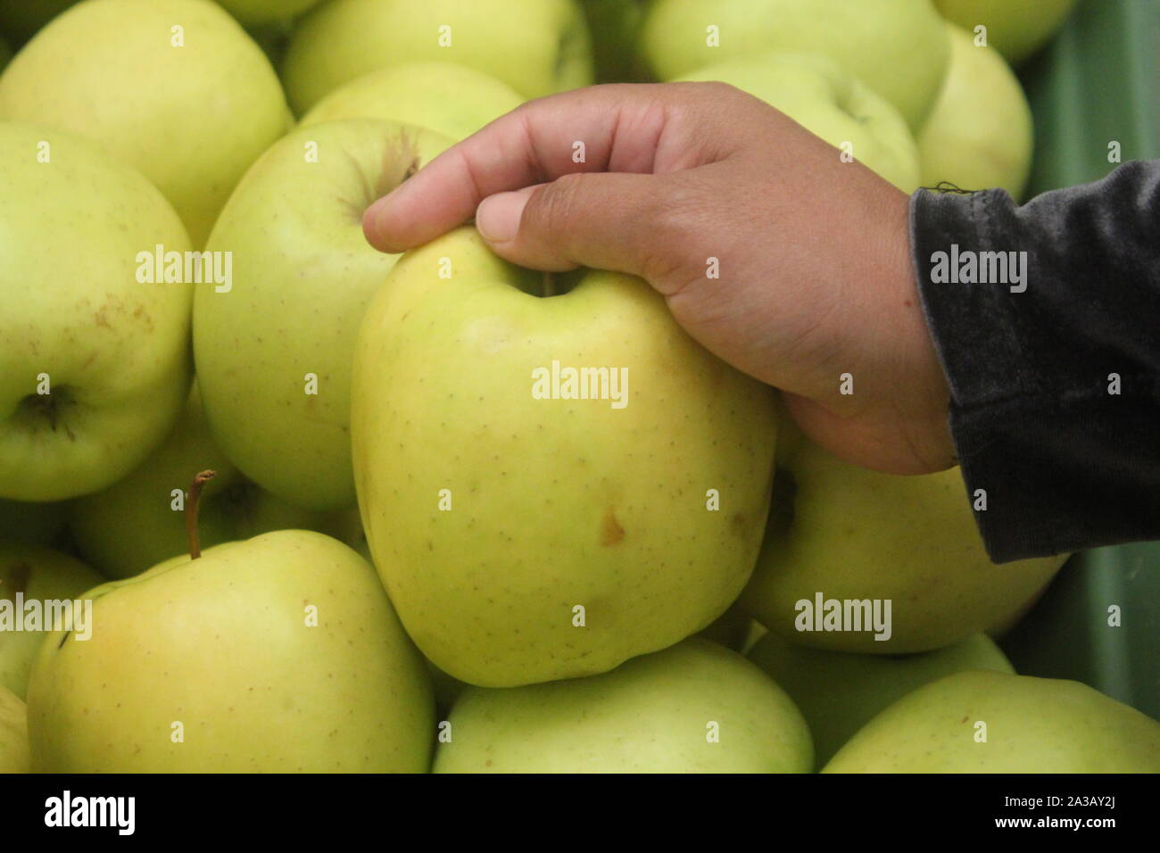 apples are good for people Stock Photo - Alamy