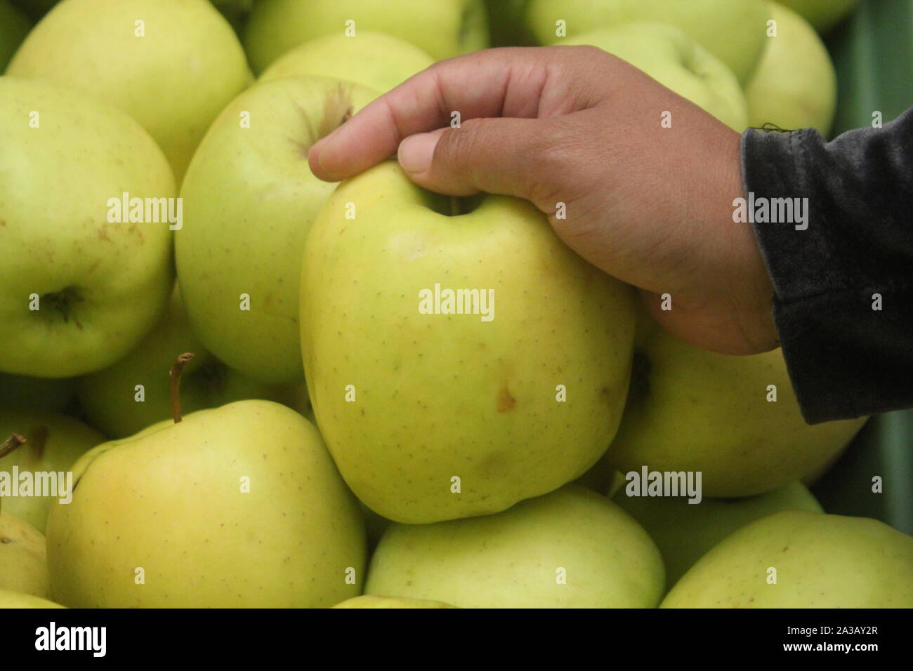 apples are good for people Stock Photo - Alamy