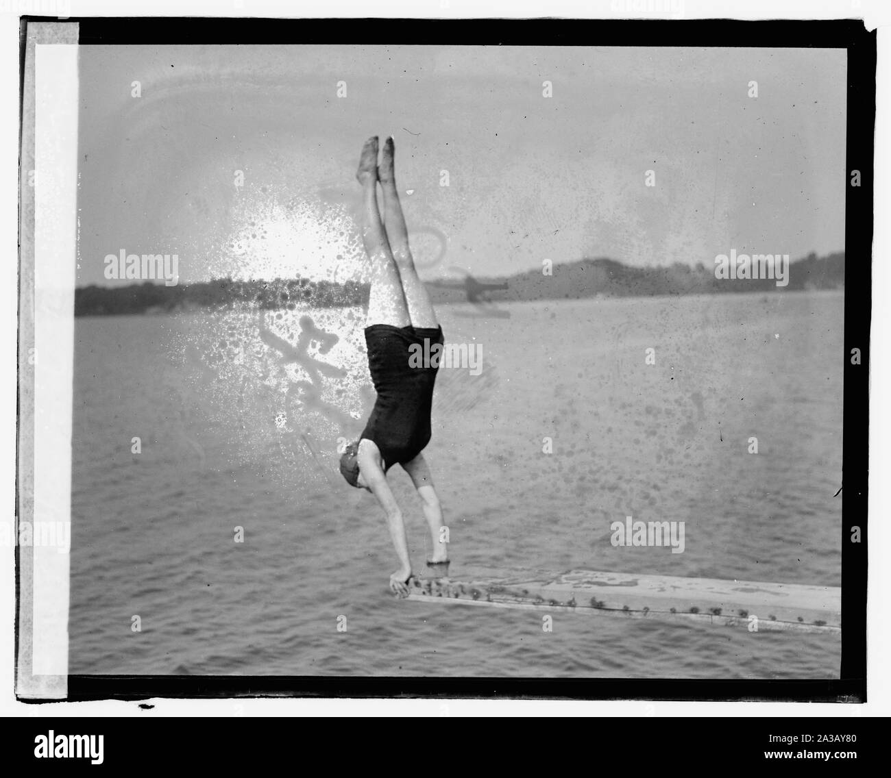 Spring forest scene Cut Out Stock Images & Pictures - Alamy