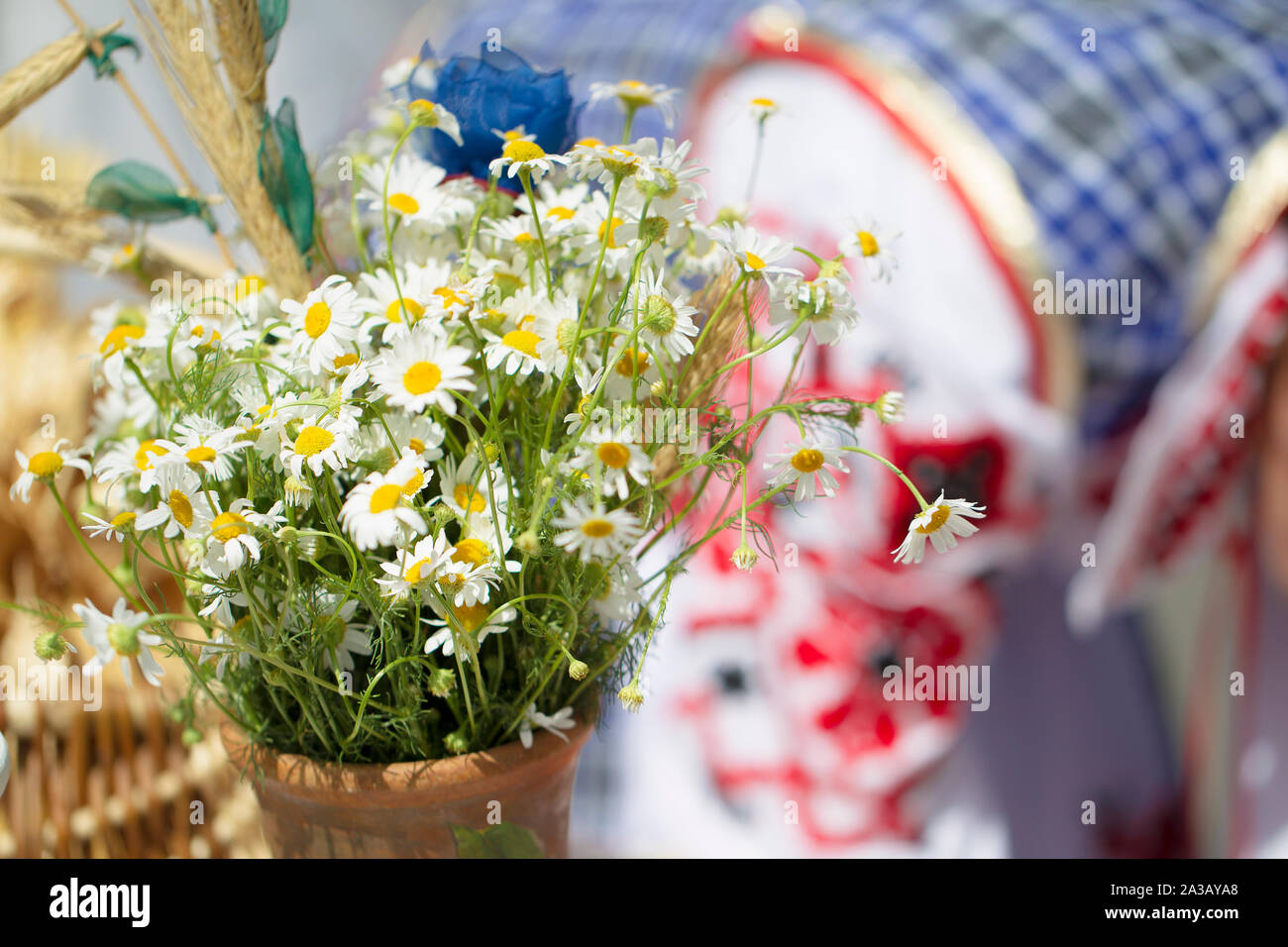 Bright floral summer frames hi-res stock photography and images - Alamy