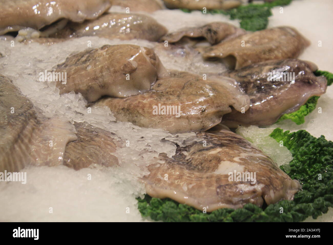 Italian fresh sea fish with ice image Stock Photo - Alamy