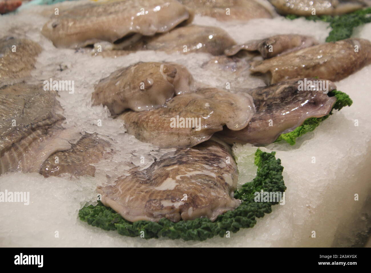 Fresh seafood different sea fish hi-res stock photography and images ...