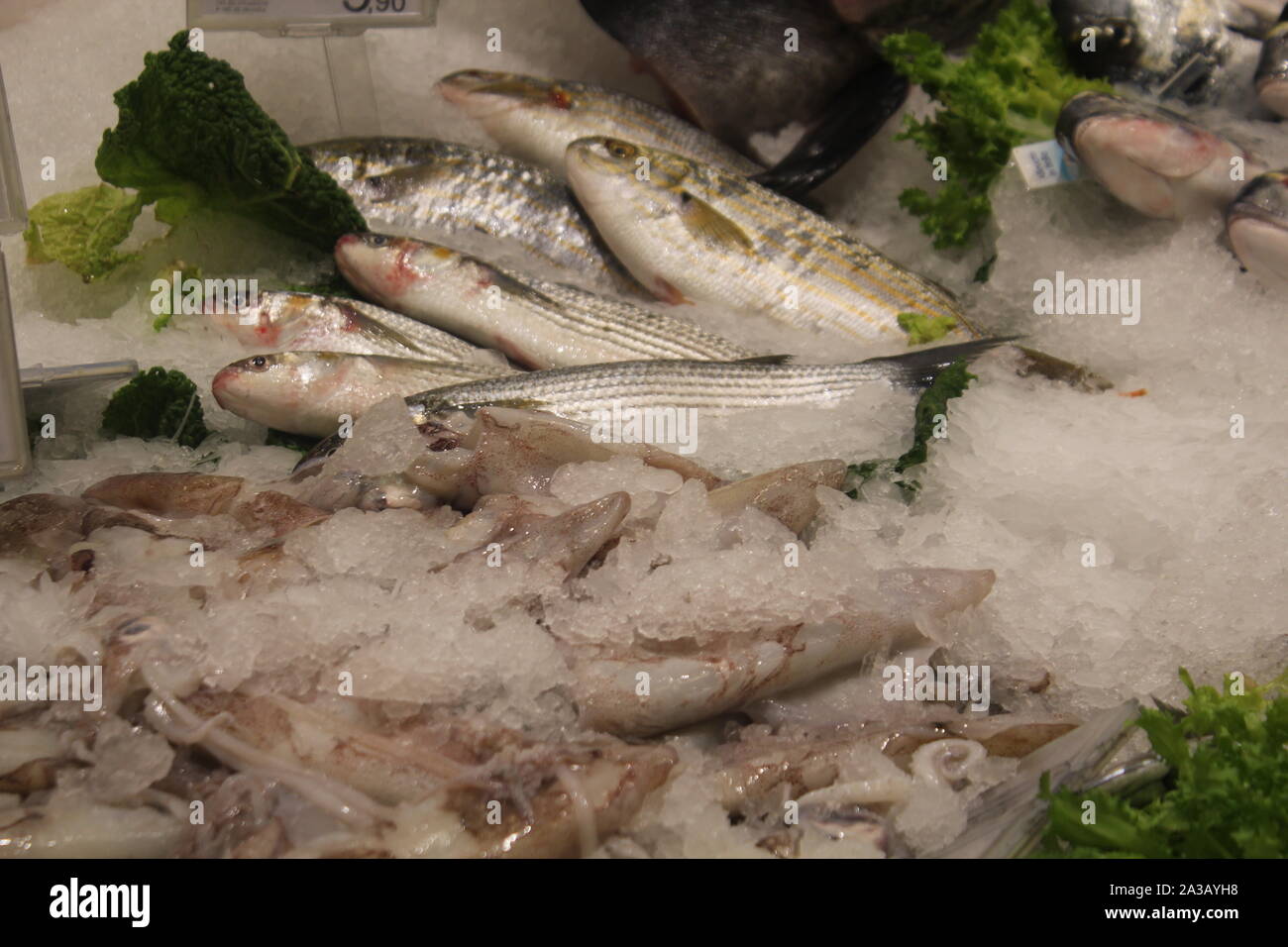 Italian fresh sea fish with ice image Stock Photo - Alamy