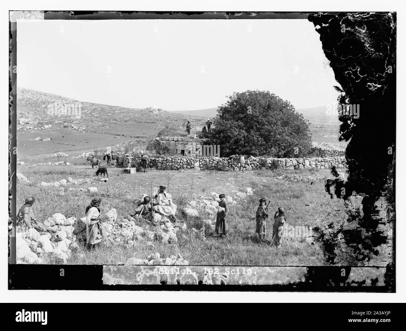 Resistance tactics Cut Out Stock Images & Pictures - Alamy