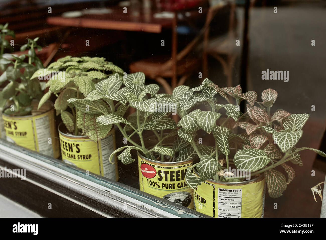 Cane Syrup High Resolution Stock Photography and Images - Alamy