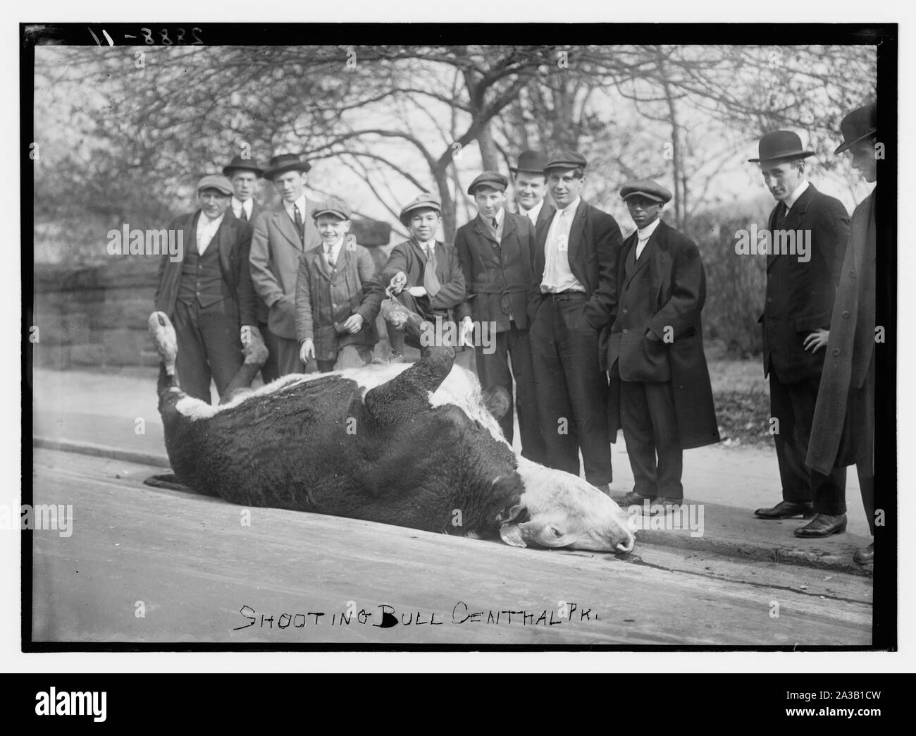 Central american native indian Black and White Stock Photos & Images ...