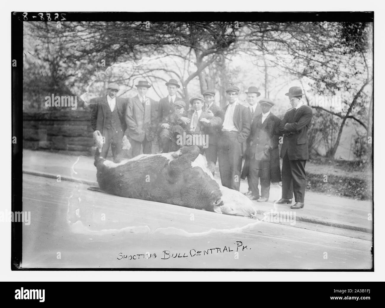 Shooting i e hi-res stock photography and images - Alamy