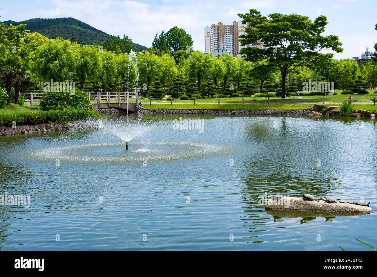 Turtles grass hi-res stock photography and images - Alamy