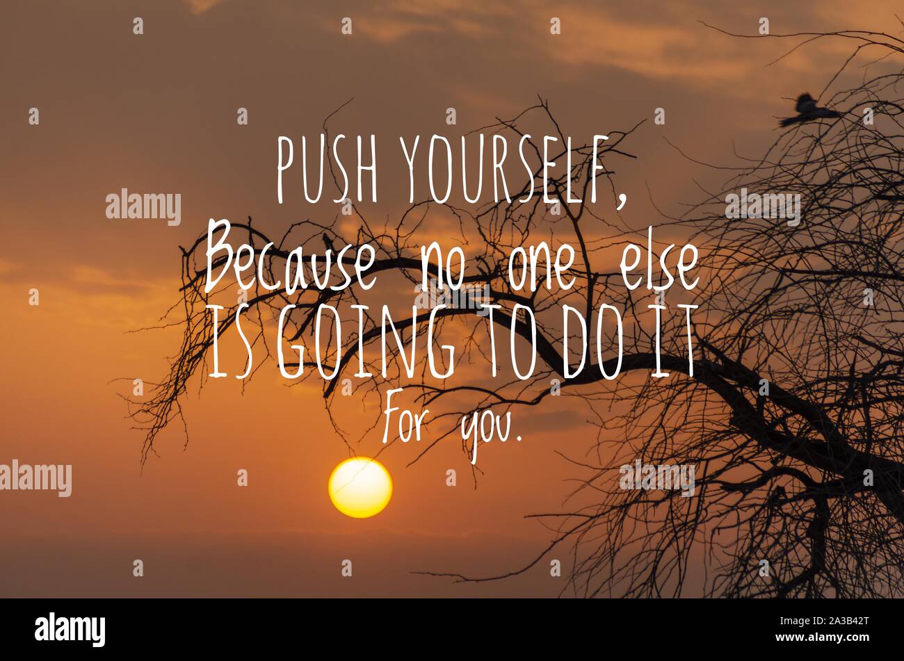 Motivational and inspirational quote - Push yourself, because no one else is going to do it for ...