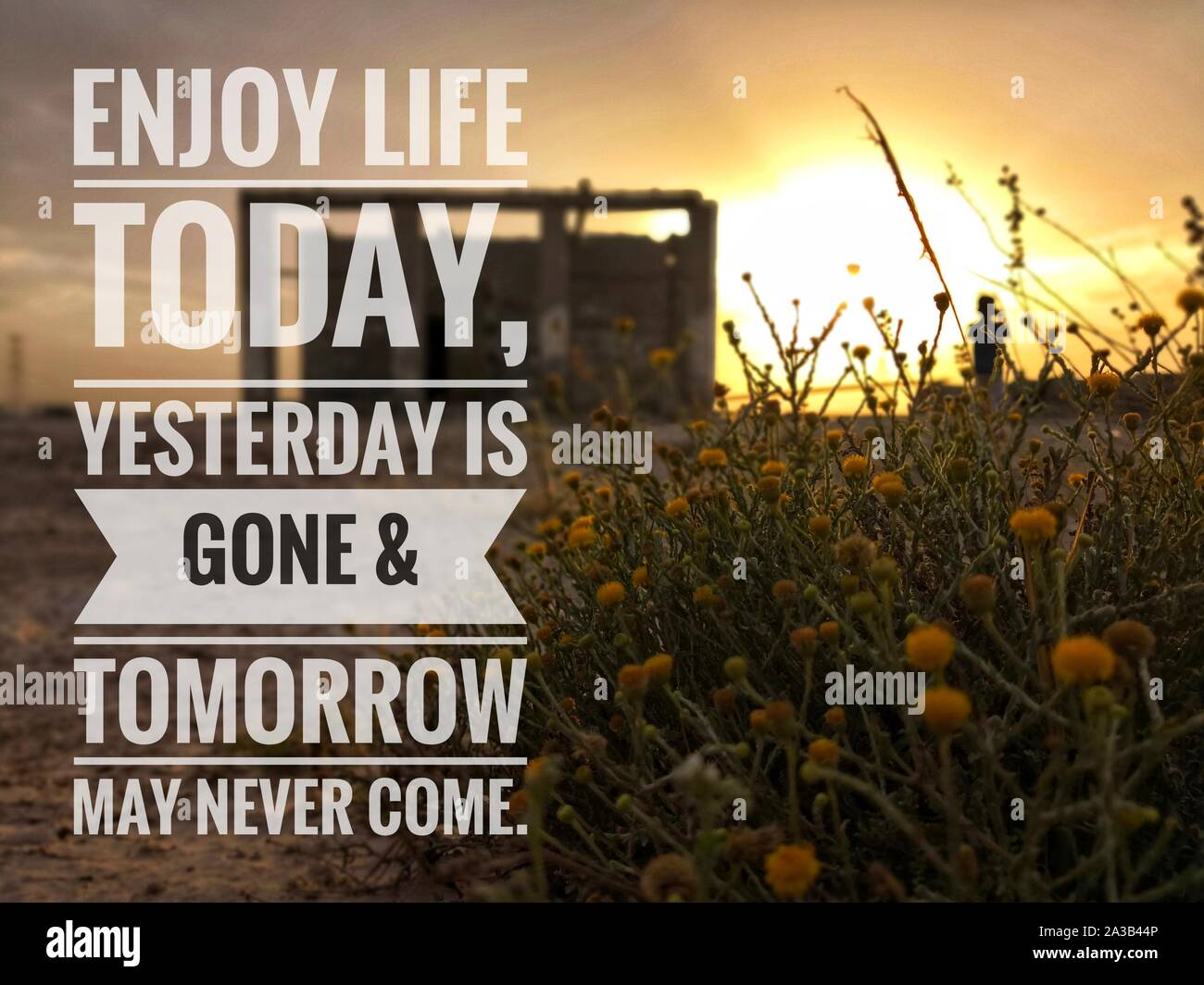 Here today gone tomorrow hi-res stock photography and images - Alamy