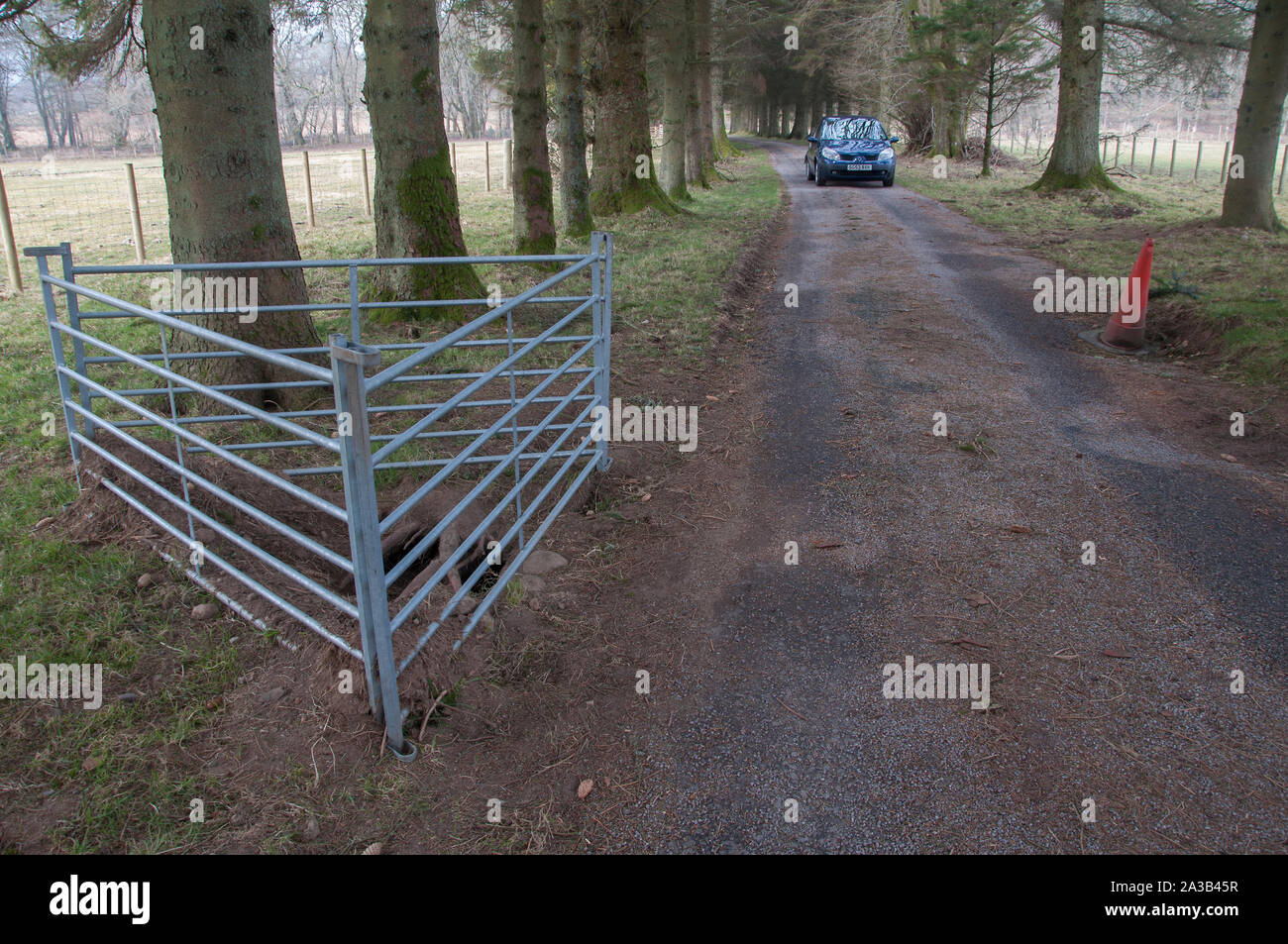 Badger damage hi-res stock photography and images - Alamy