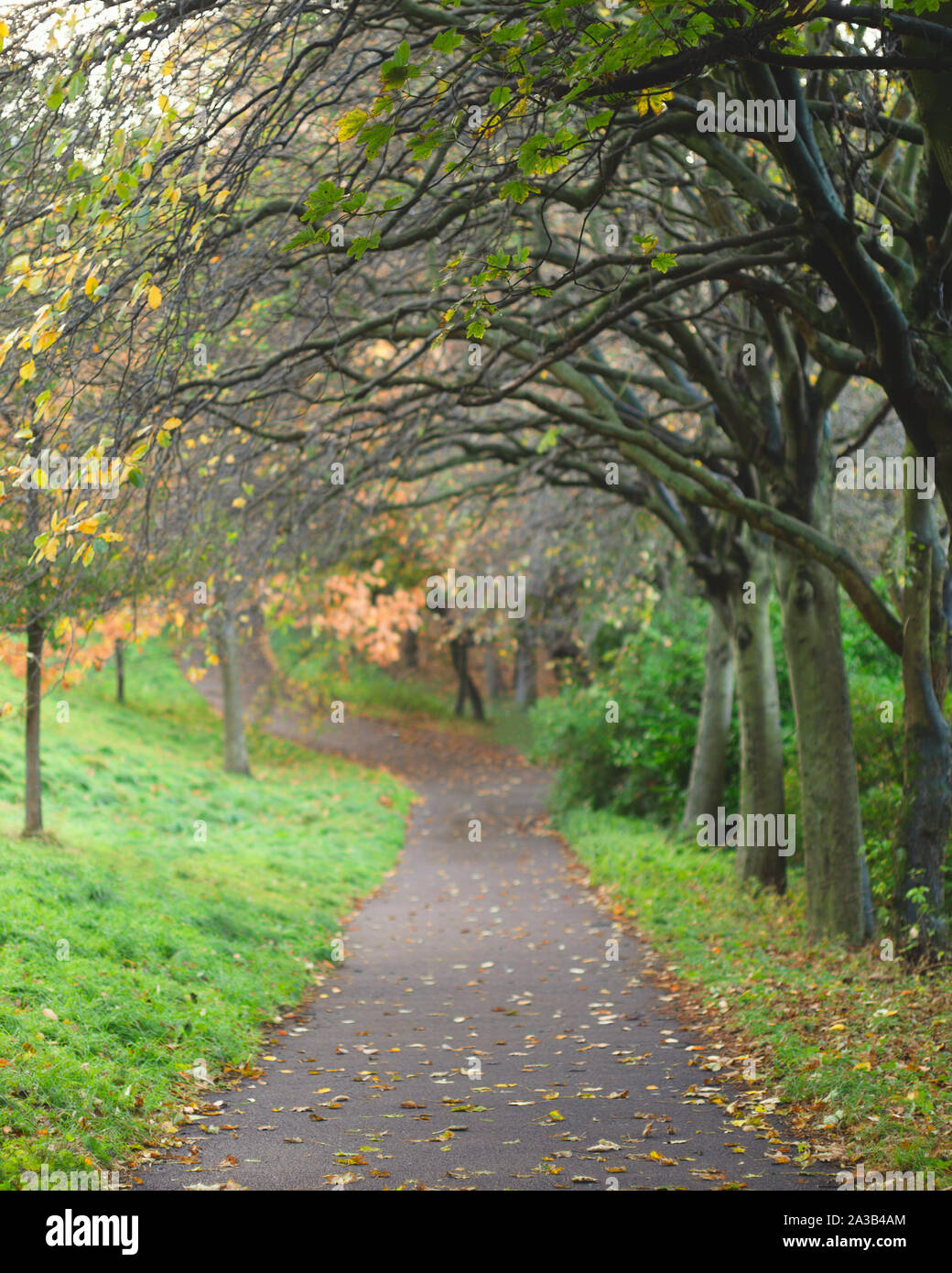 Beautiful cozy alley in the park. Princes Street Gardens, Edinburgh ...