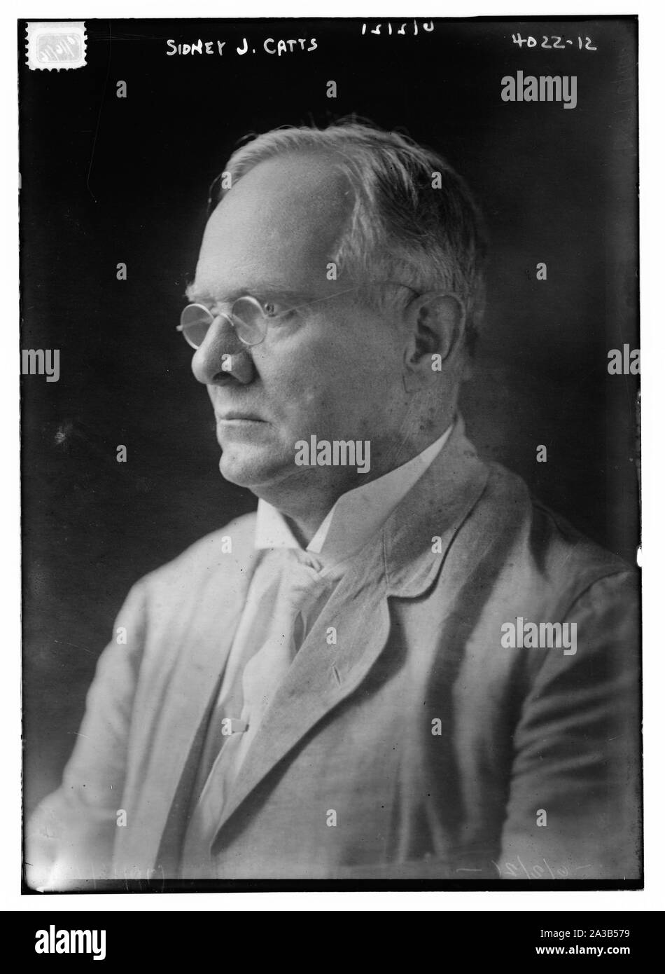 Catts High Resolution Stock Photography and Images - Alamy